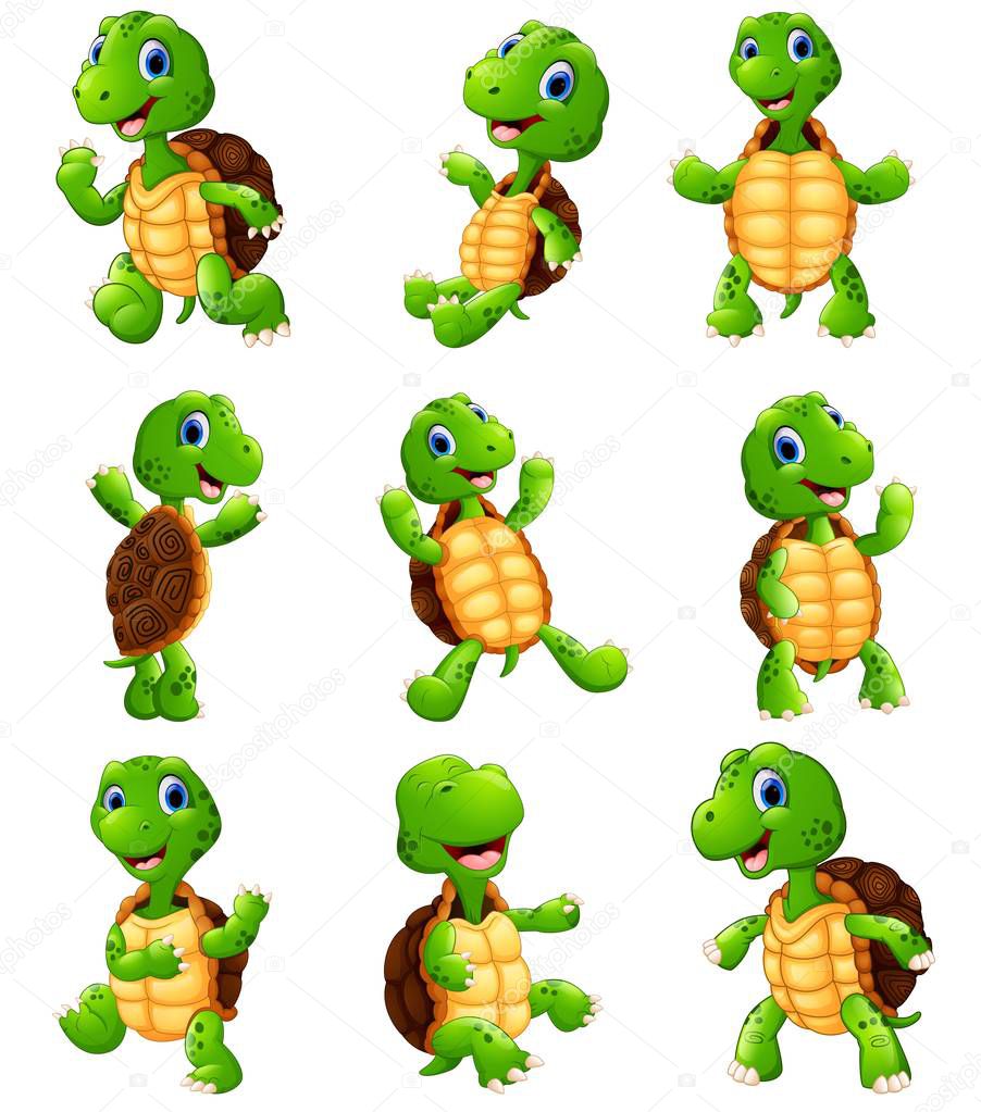 Colección de dibujos animados de tortuga feliz — Vector de stock ...