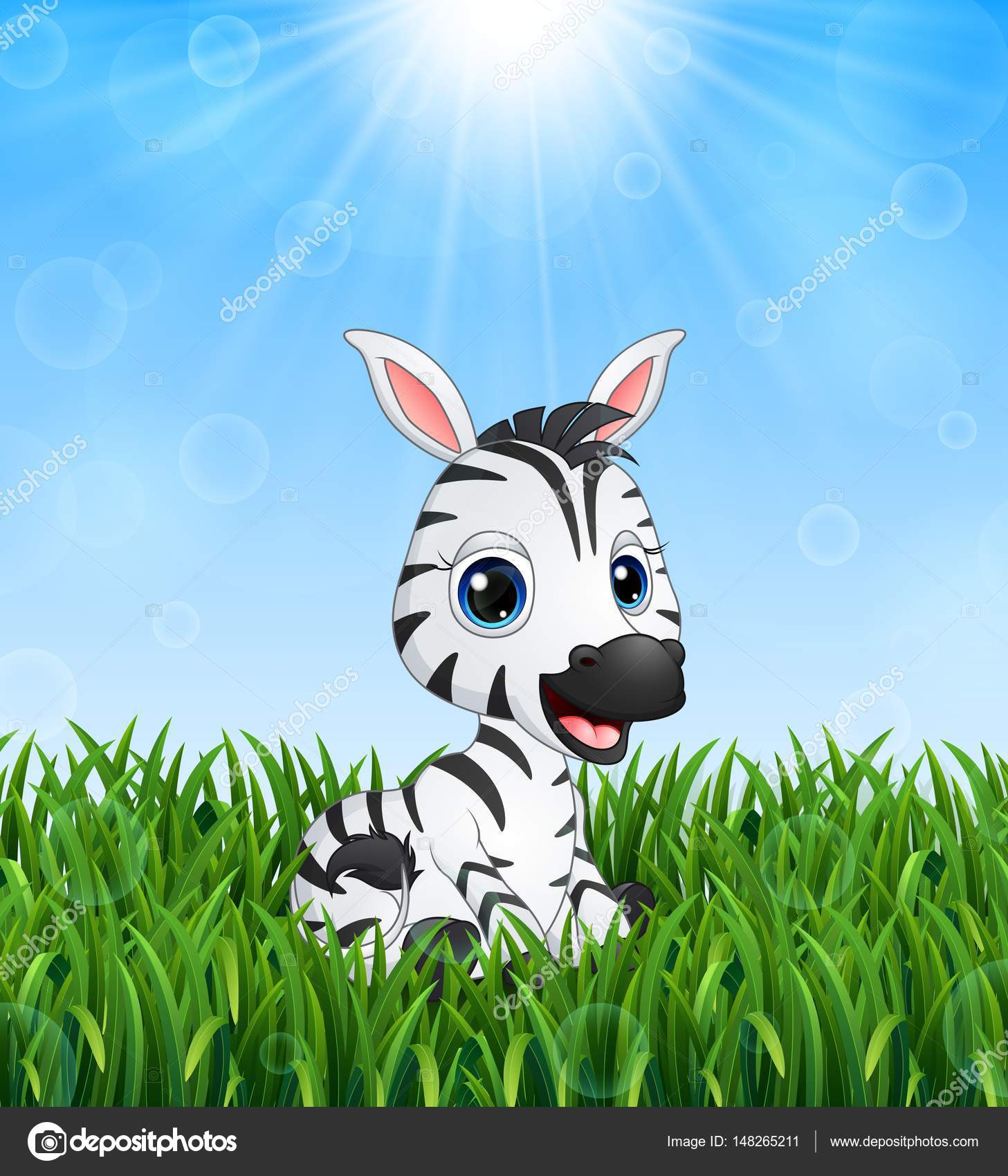 Lindos Fondos De Cebra