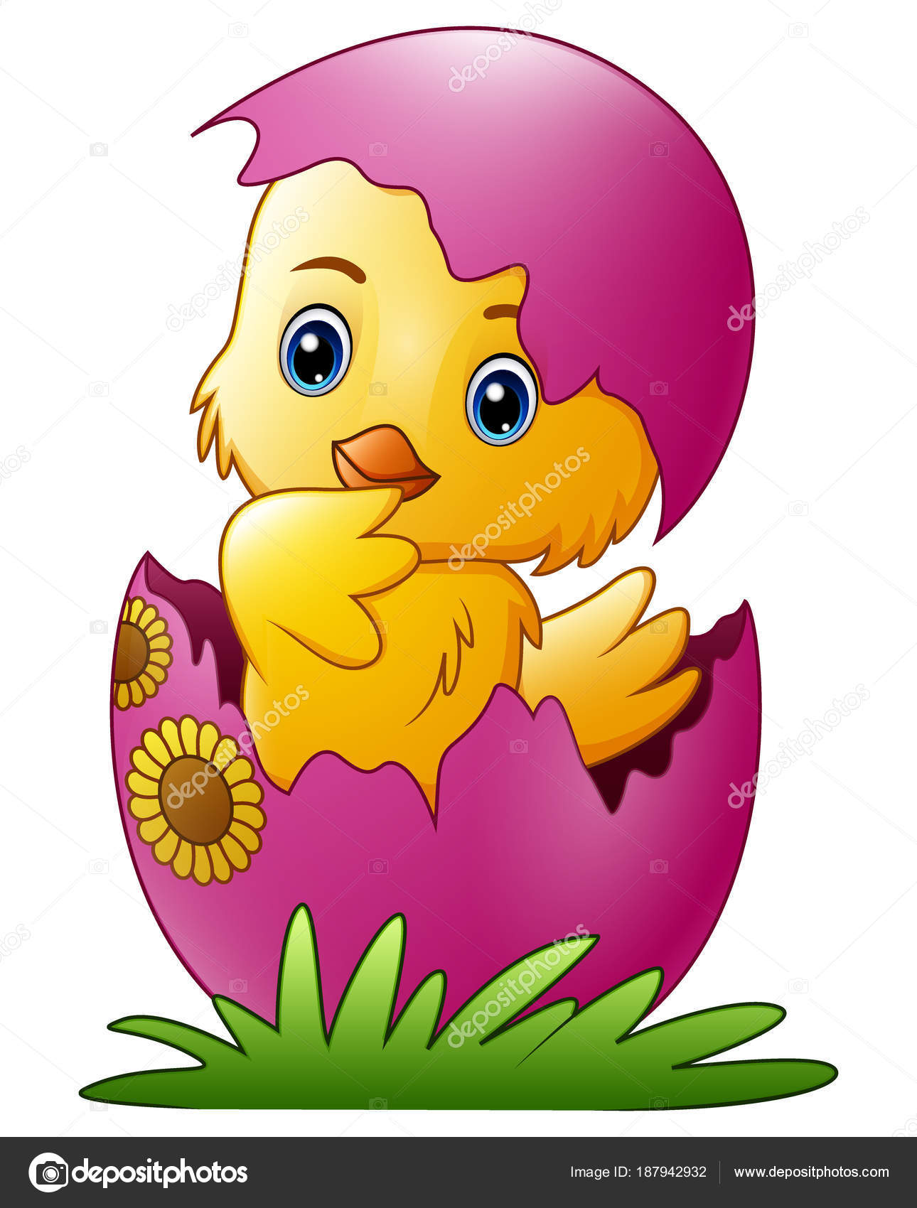 Animado Un Pollito Vector Ilustracin De Dibujos