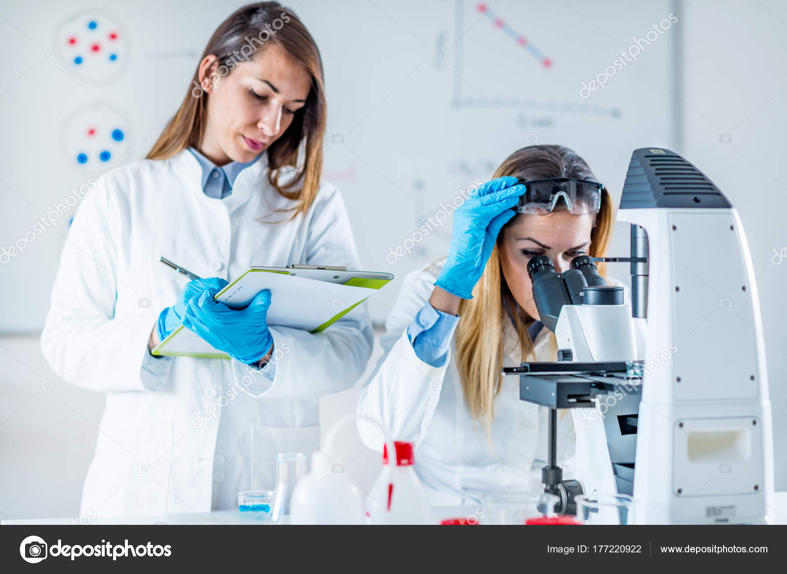 Life Sciences Researchers Taking Observation Notes — Stock Photo ...