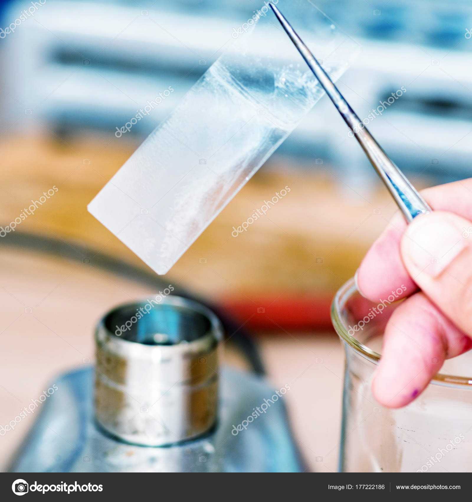 Laboratory Work Hand Holding Microscope Slide Flame — Stock Photo ...