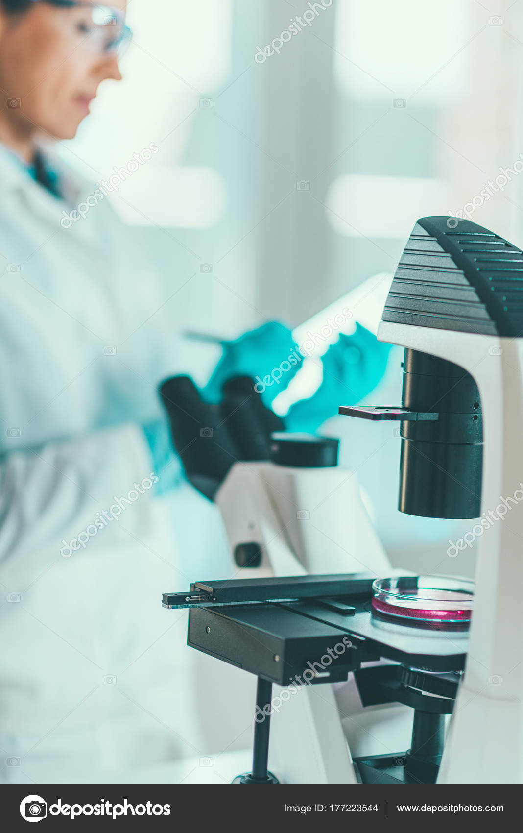 Life Sciences Researcher Taking Observation Notes — Stock Photo ...