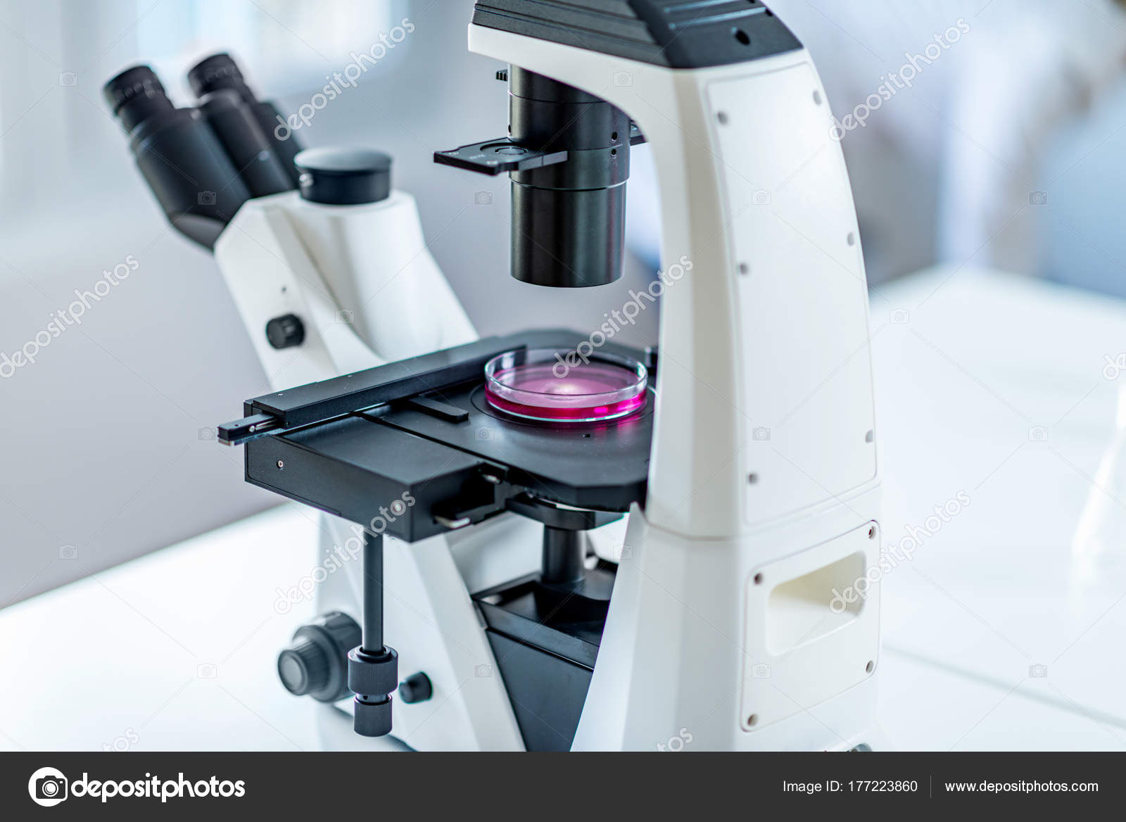Microscope Sample Laboratory Stock Photo by ©microgen 177223860