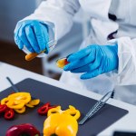 Quality Control Food Safety Inspector Working Vegetables Laboratory ...