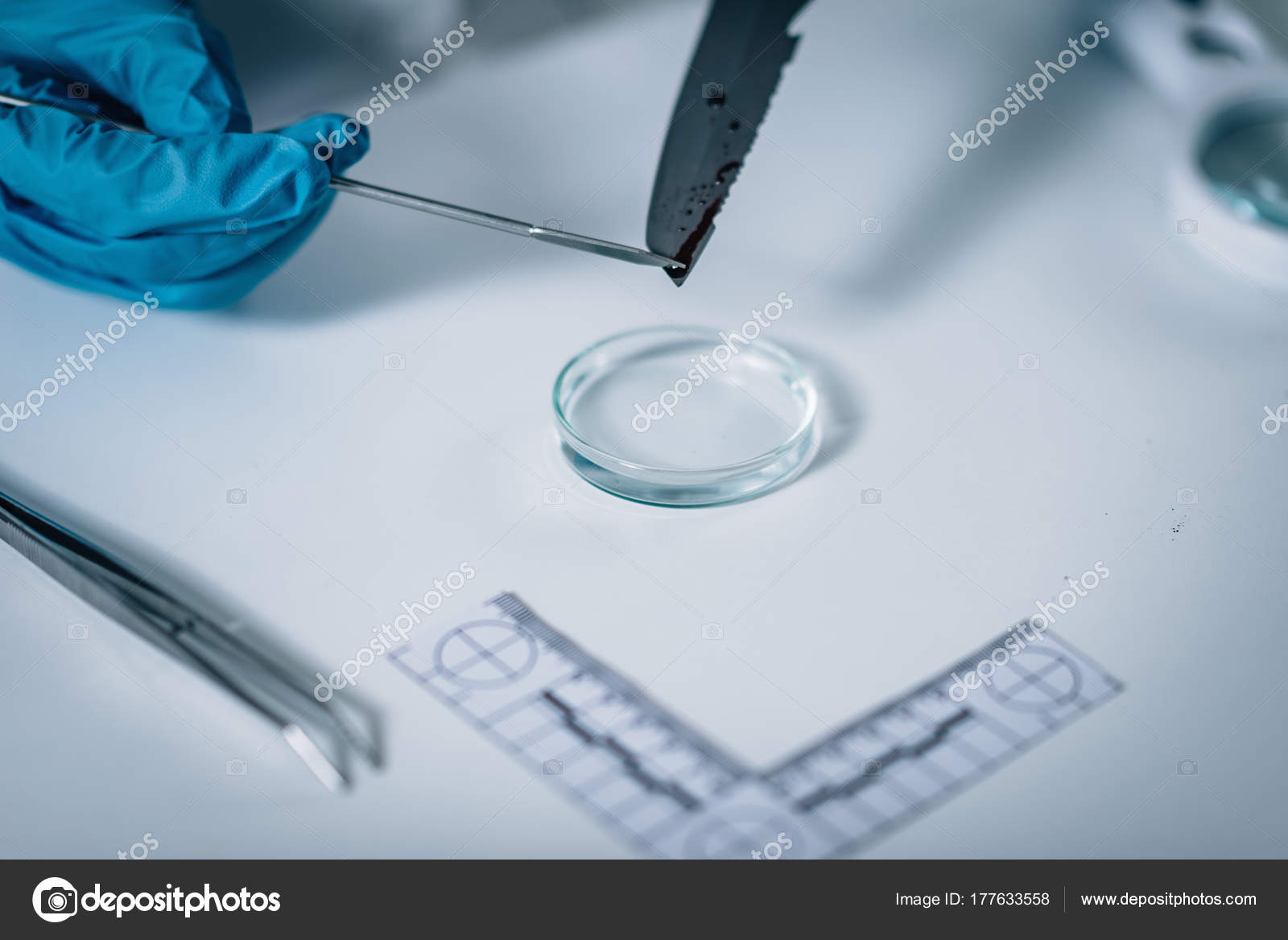 Forensic Science Lab Forensic Scientist Photographing Knife Blood ...