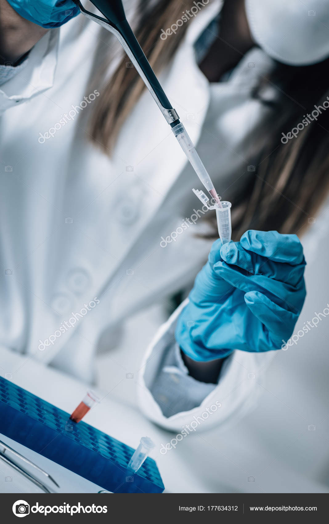 Forensic Science Lab Forensic Scientist Examining Dnk Evidences — Stock ...
