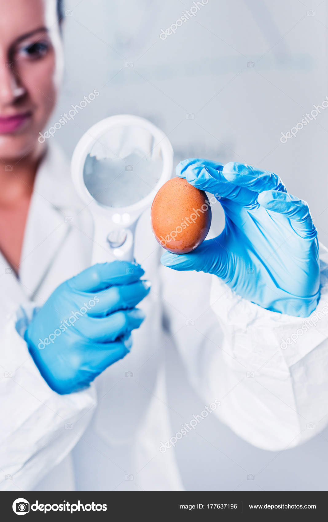 Quality Control Expert Inspecting Egg Laboratory Stock Photo by ...