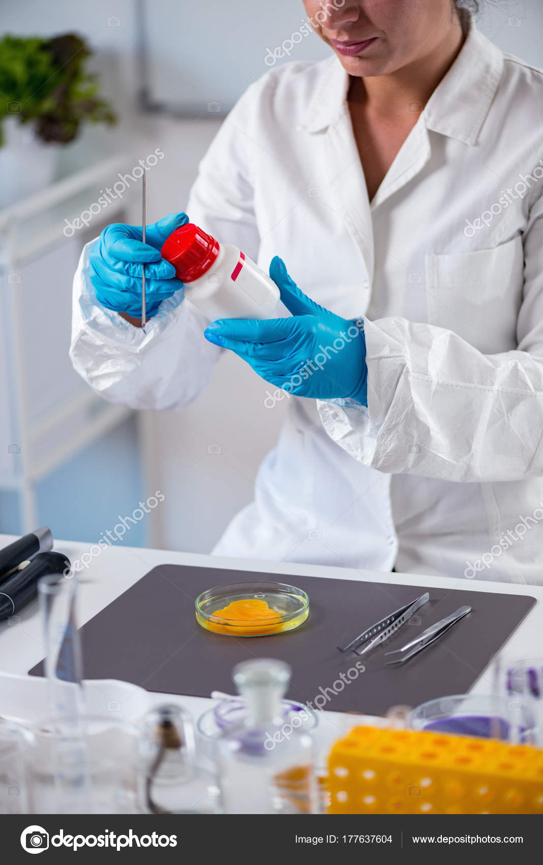 Quality Control Expert Inspecting Egg Laboratory Stock Photo by ...