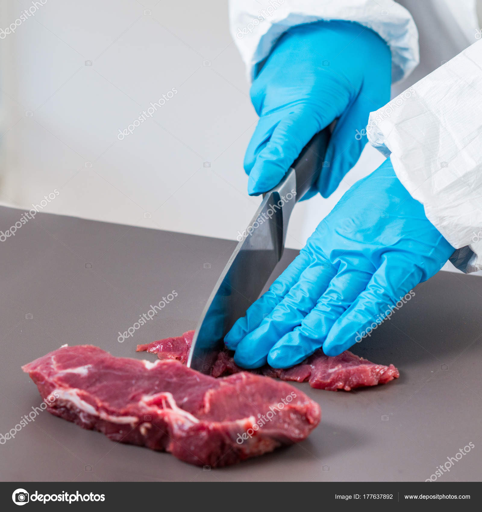 Quality Control Expert Inspecting Meat Laboratory Stock Photo by ...