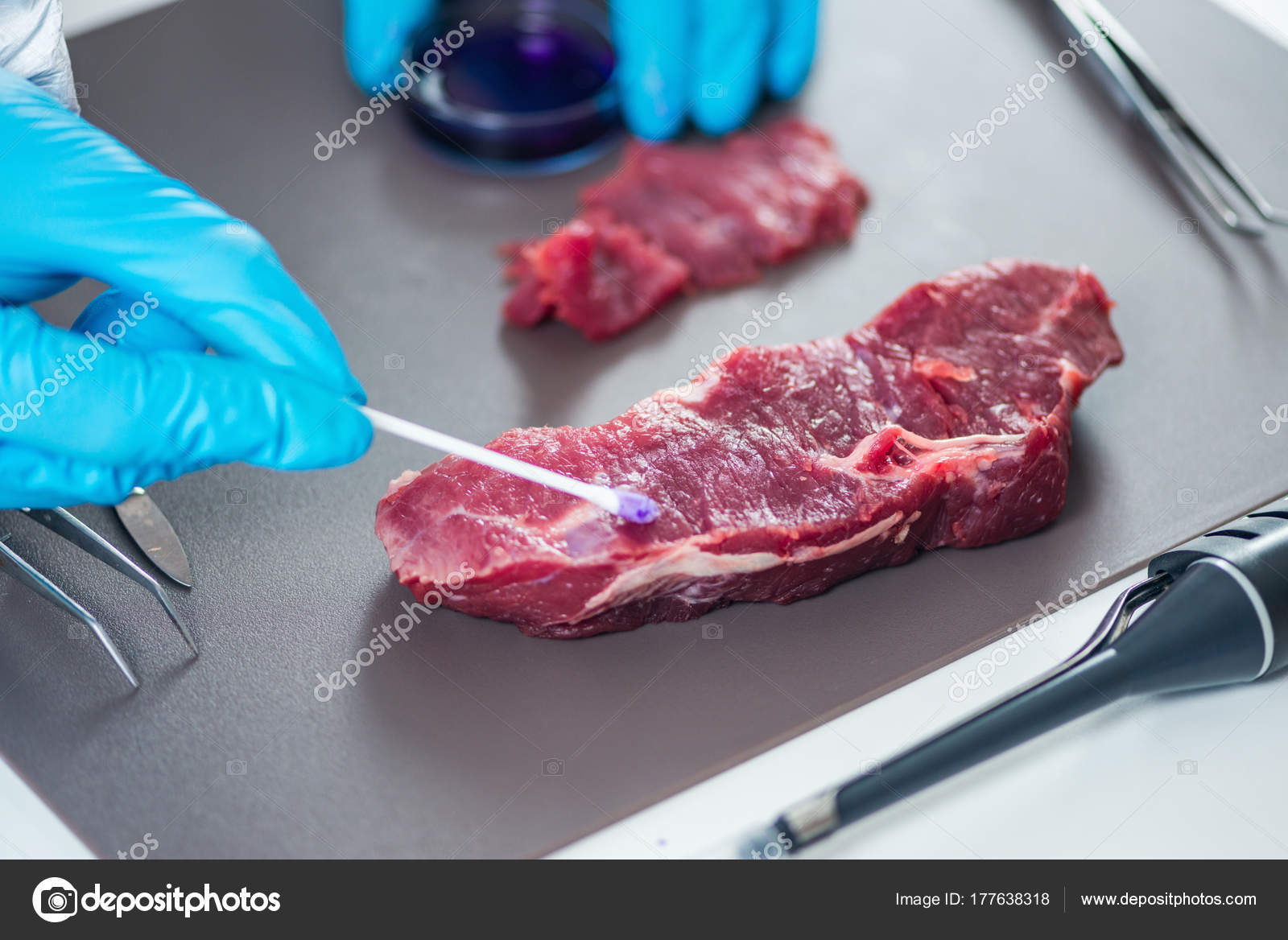 Quality Control Expert Inspecting Meat Laboratory Stock Photo by ...