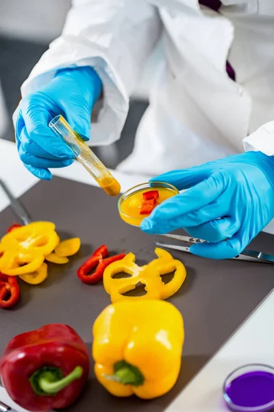 Quality Control Food Safety Inspector Working Laboratory — Stock Photo ...