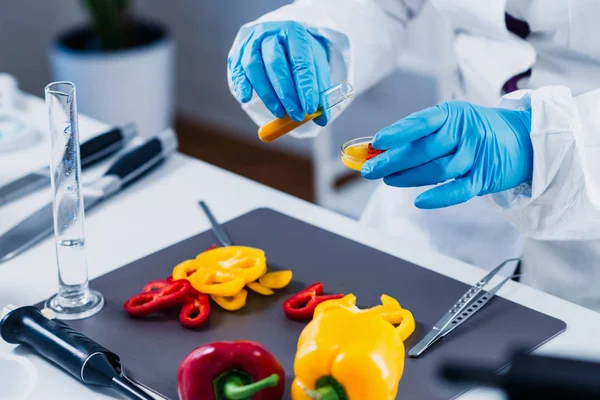 Quality Control Food Safety Inspector Working Laboratory — Stock Photo ...