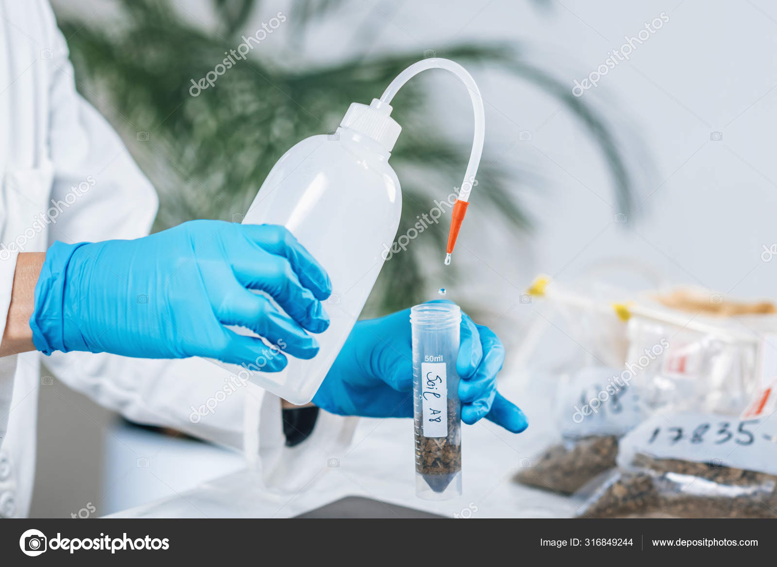 Soil Testing Female Biologist White Coat Pouring Water Test Tube Stock ...