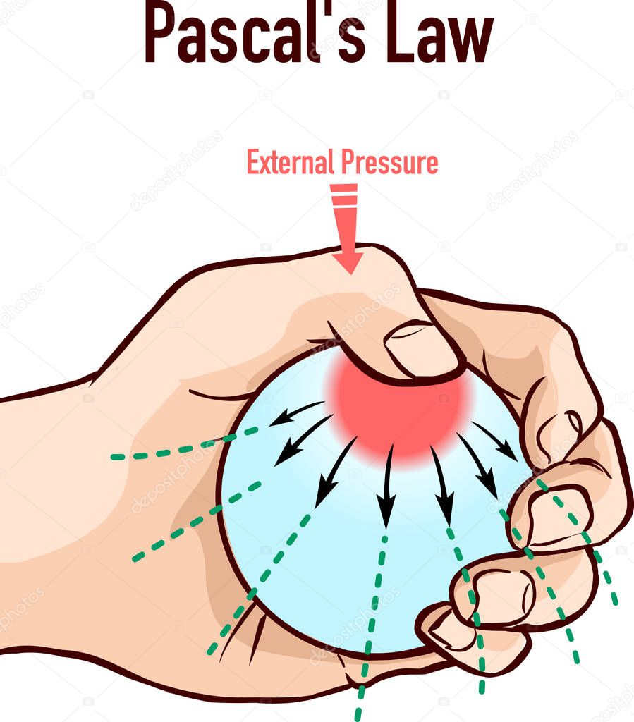Pascals Law infographic diagram showing an example of body premium vector 2024