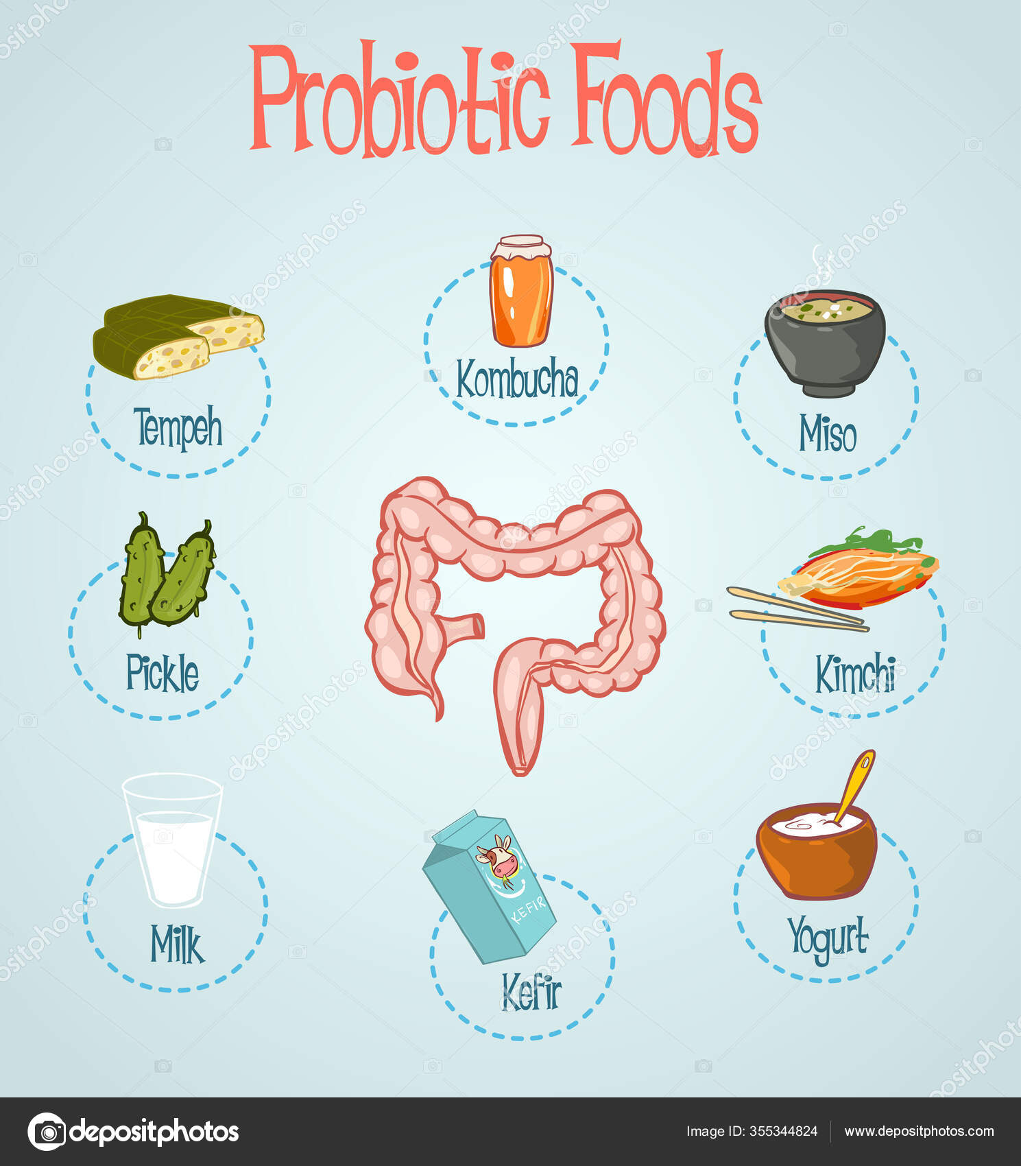 Probiotic Foods Hand Drawn Vector Illustration Stock Vector Image by ...