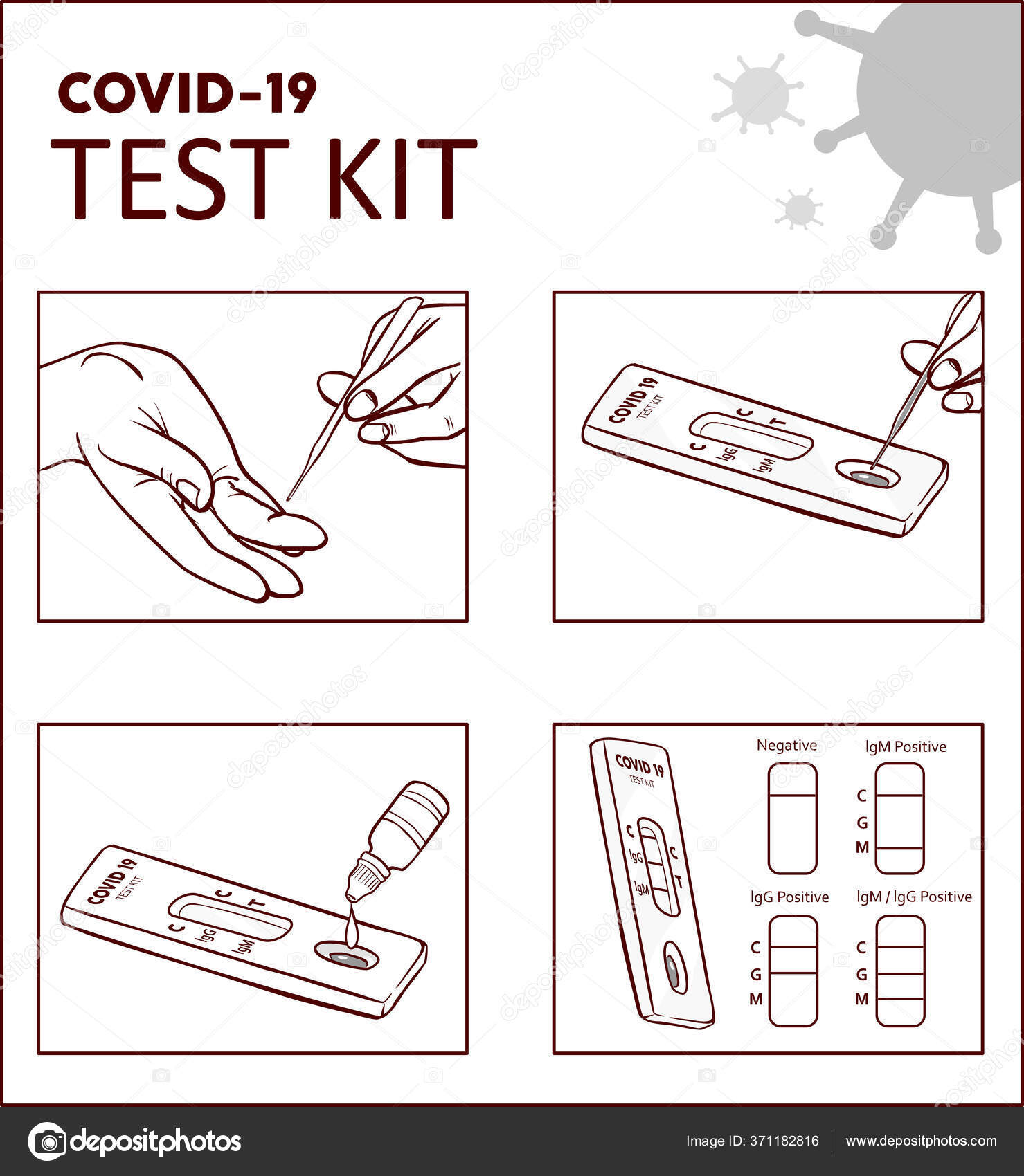 Vector Illustration Covid Igg Igm Rapid Test Antibodies Detection Stock ...