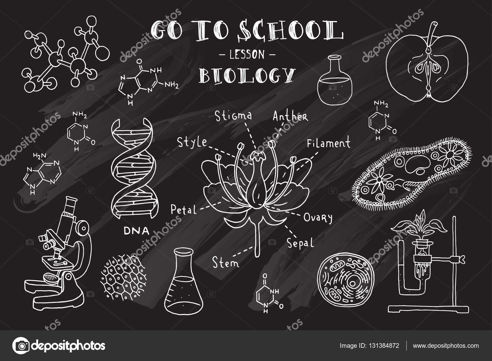 Hand drawn signs of biology Stock Vector Image by ©WINS86 #131384872