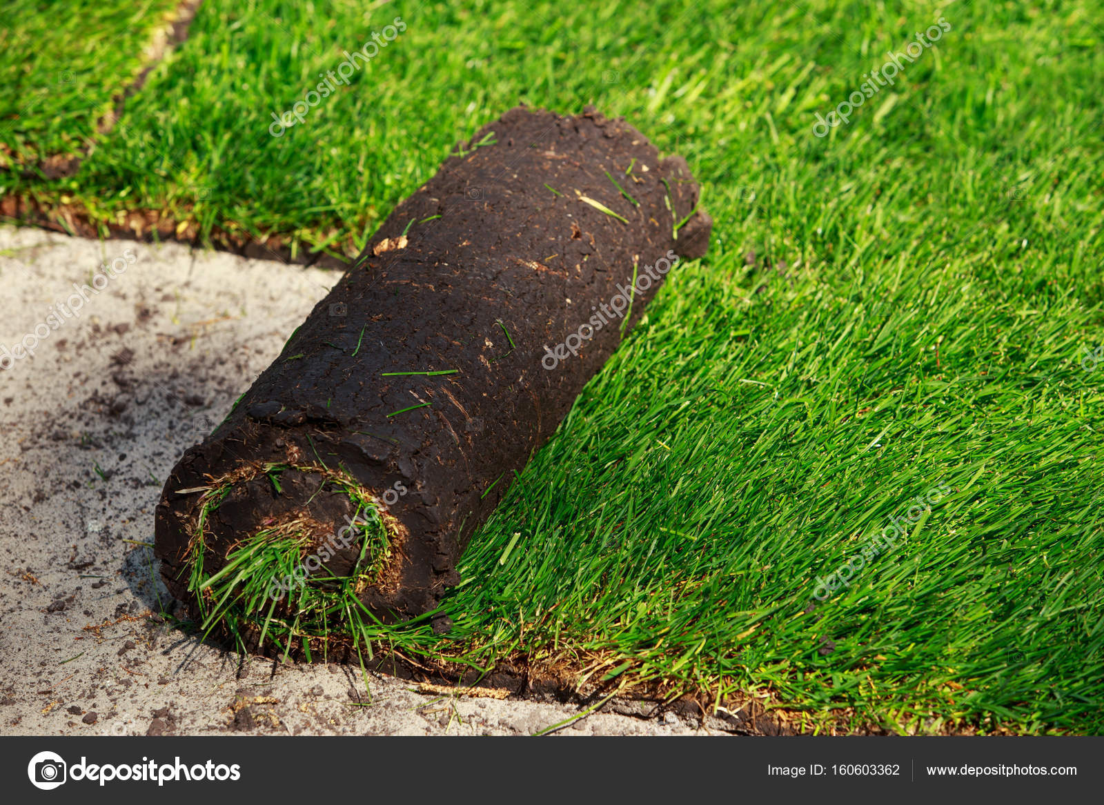 Green lawn grass in rolls Stock Photo by ©DevidDO 160603362