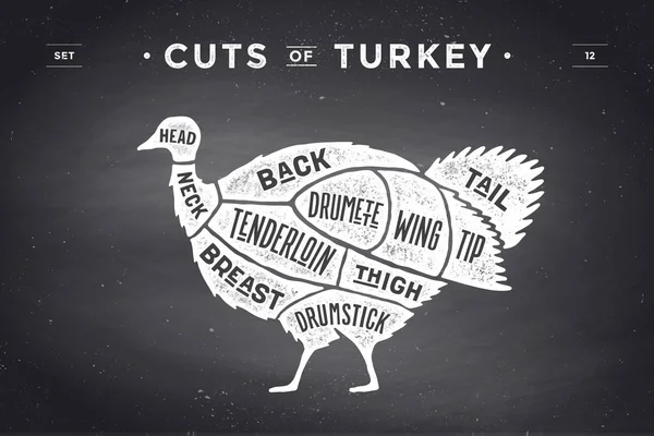 Butchers guide cuts of turkey — Stock Vector © FoxysGraphic #150274258