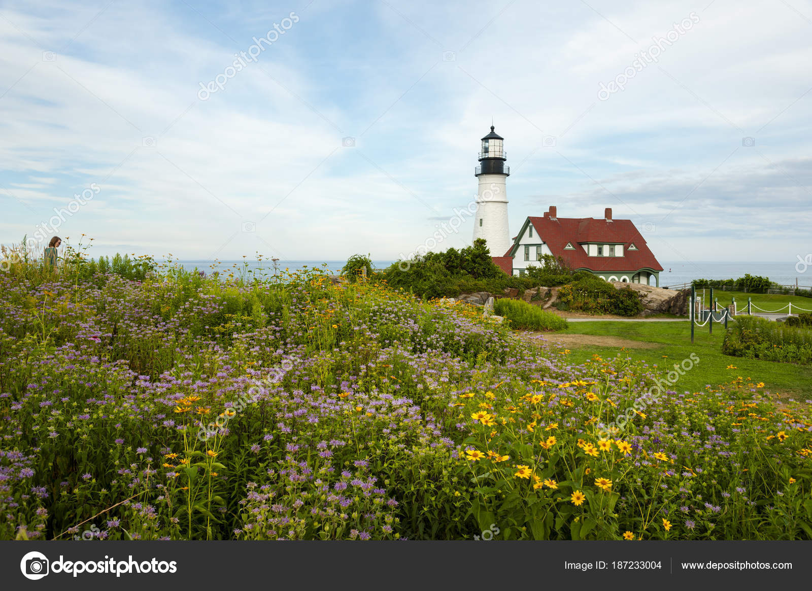 Spring Flowers Lighthouse | Best Flower Site