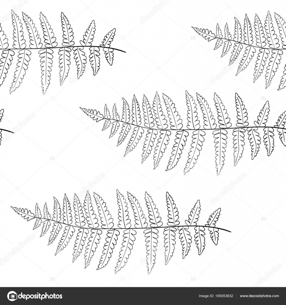 Fern frond silhouettes seamless pattern. Vector illustration Stock ...