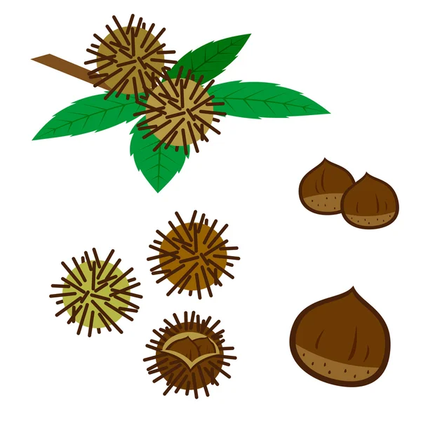 58,004,429 Burr Vector Images | Depositphotos