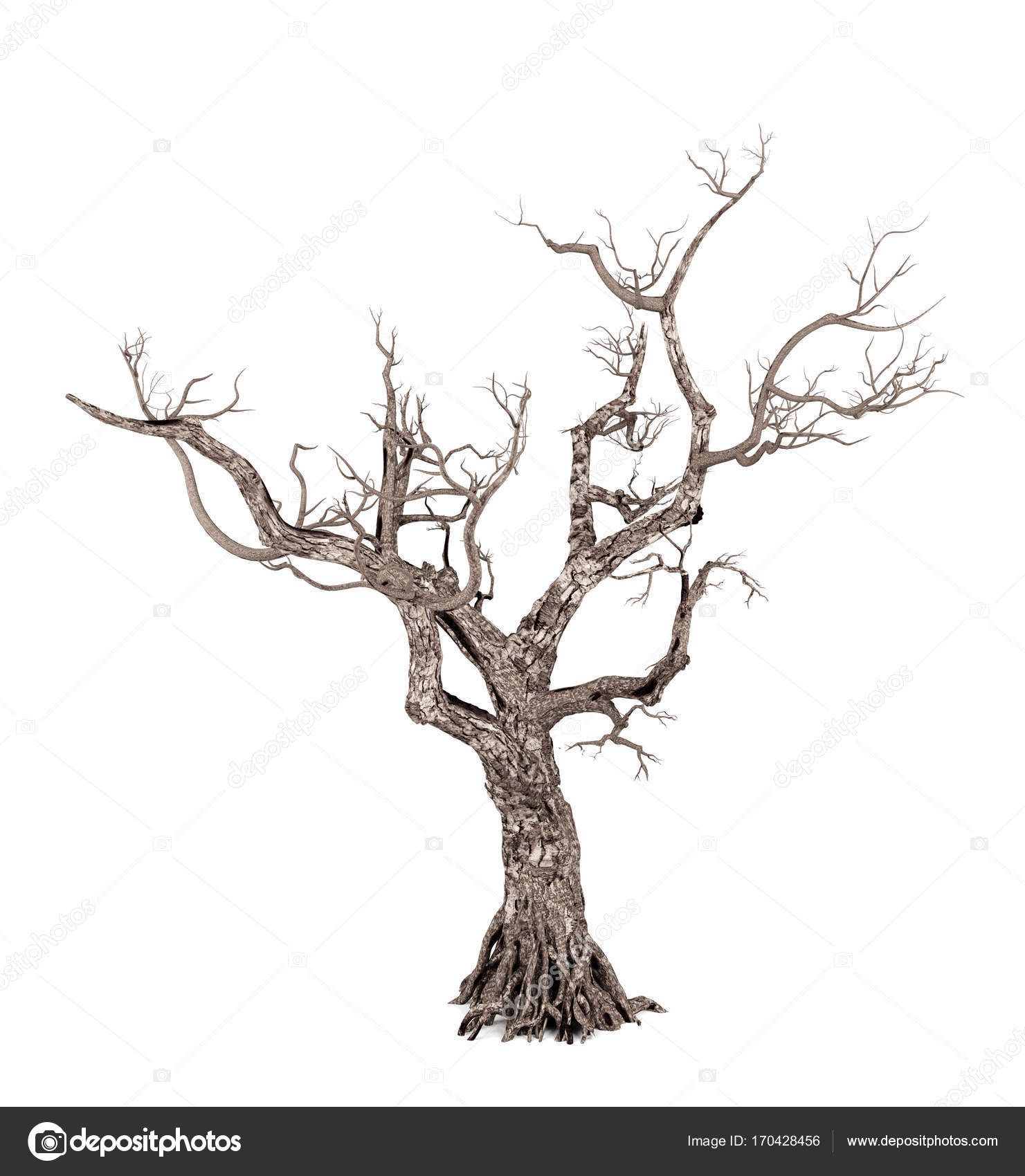 Dead tree isolated on white background, 3D rendering Stock Photo by ...
