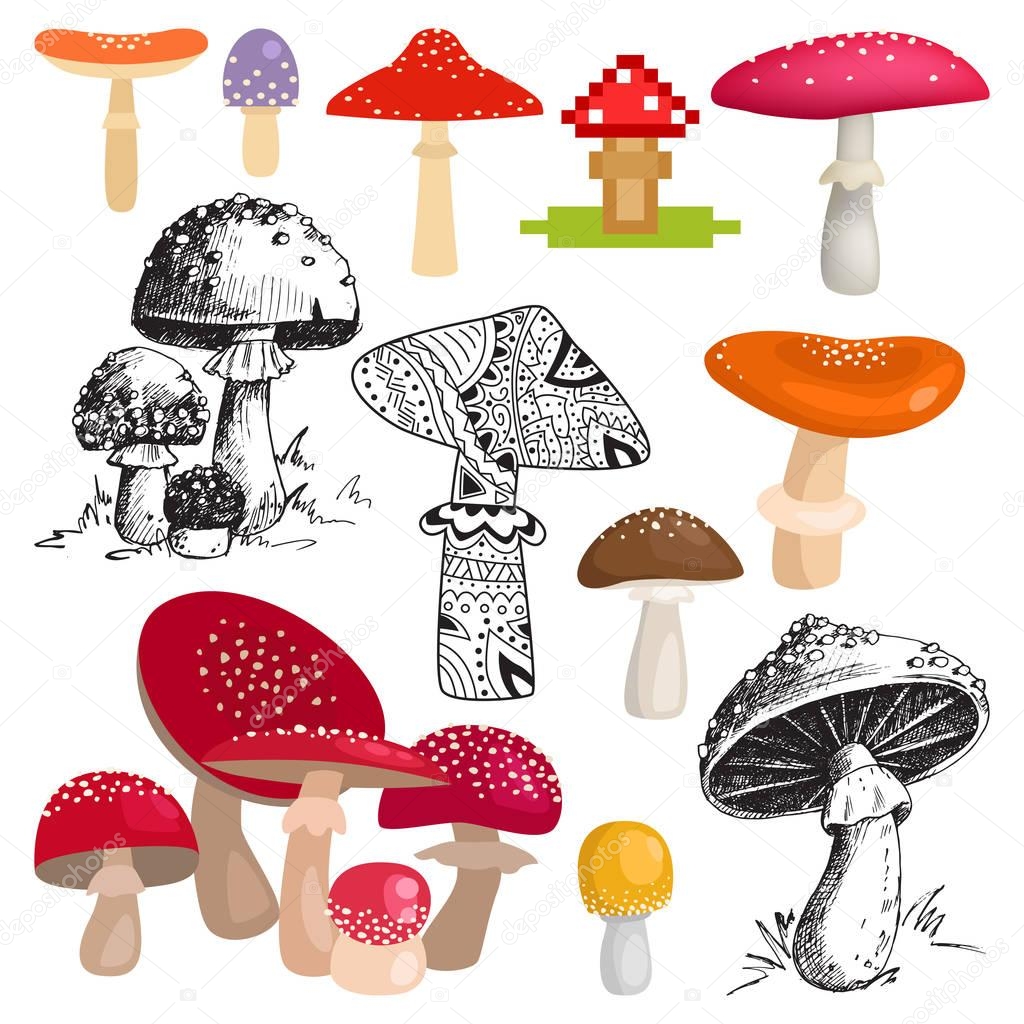 Los tipos brillantes diferentes del vector de las setas. 2023