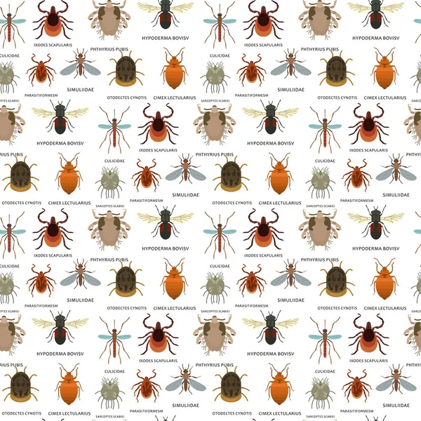 Parasites In Human Skin