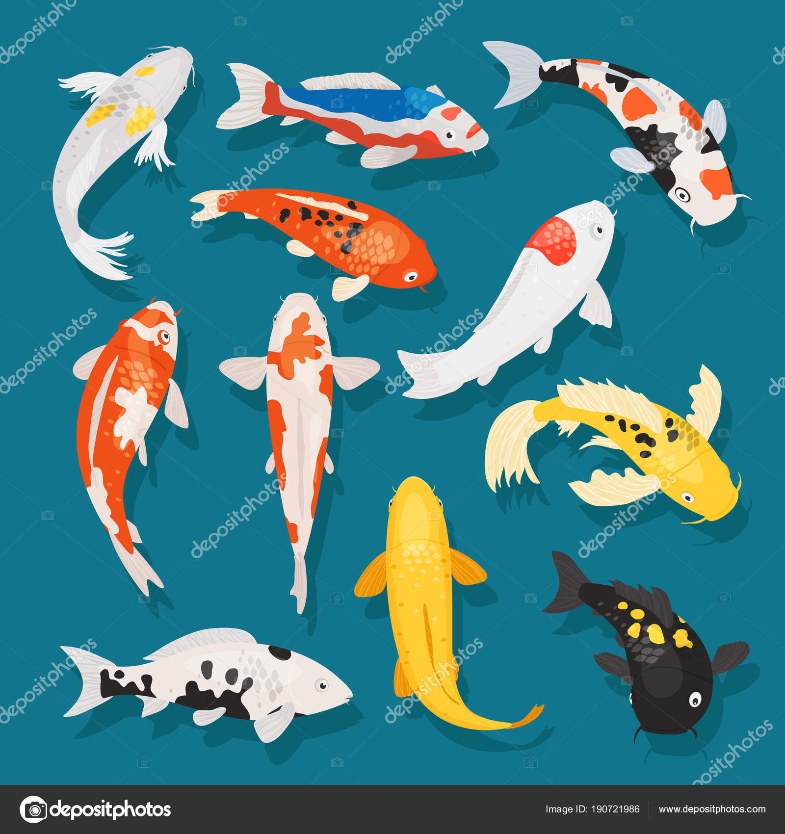 Chinese Goldfish Illustration