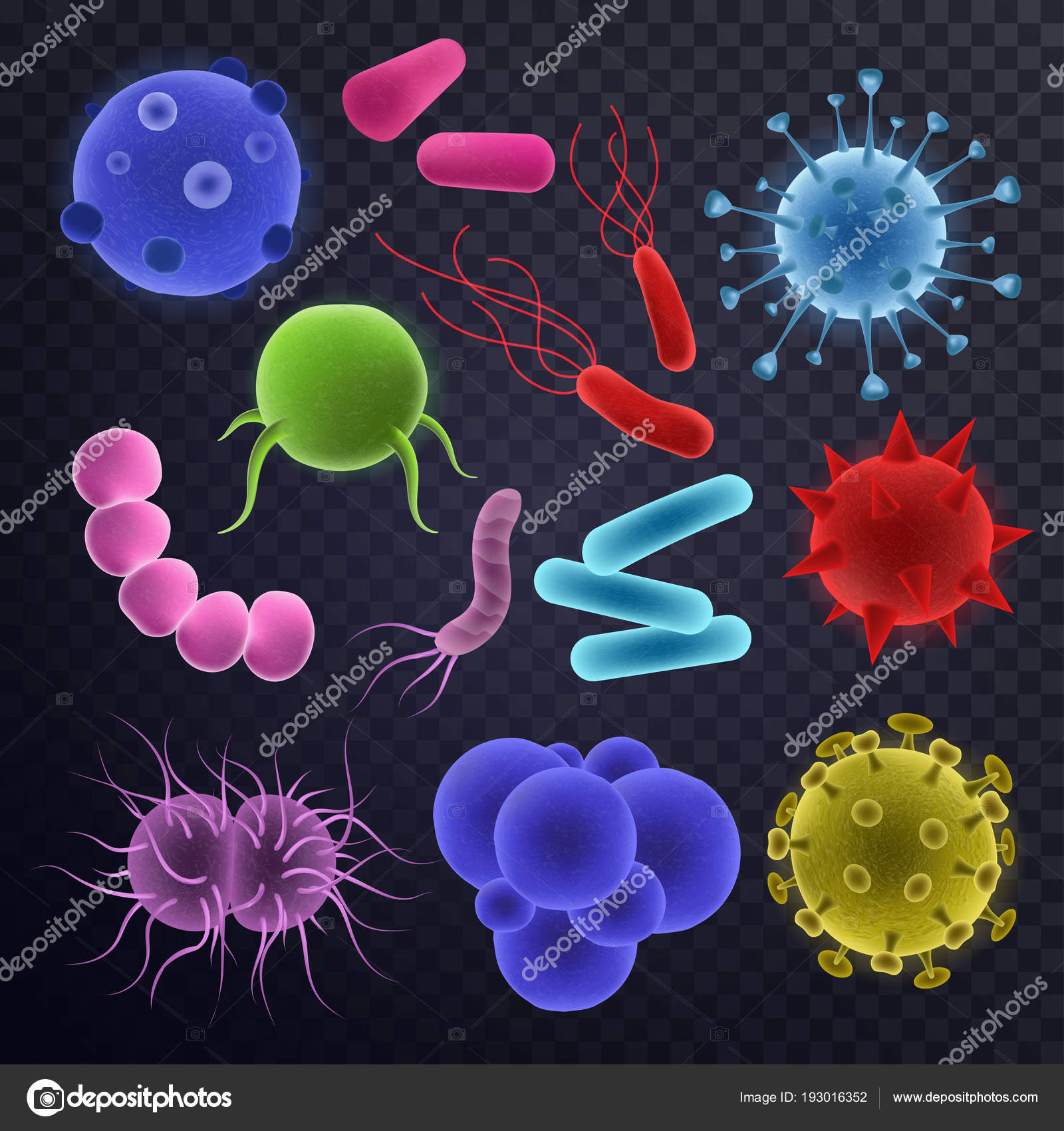 Infecção bacteriana por vetor viral doença semelhante a vírus ...