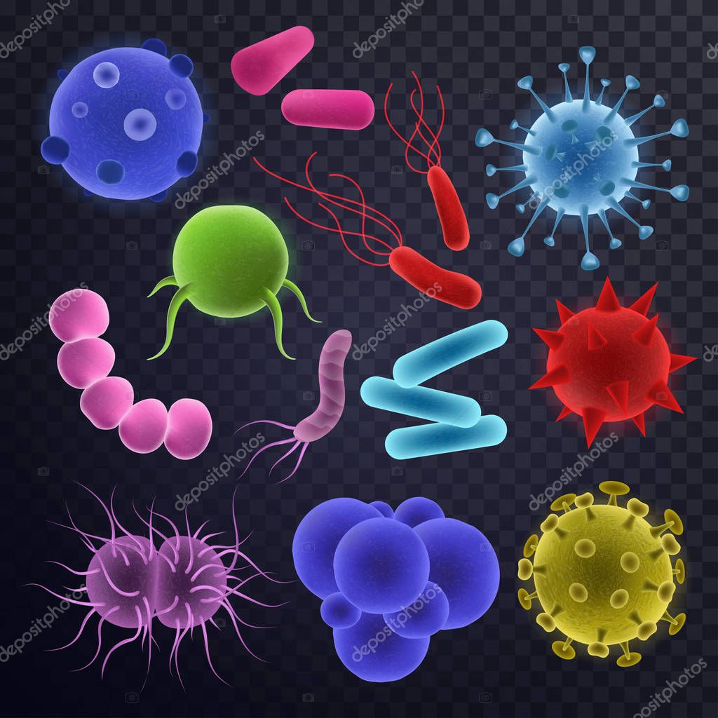Virus vector infección bacteriana enfermedad similar al virus ... Virus vector infección bacteriana enfermedad similar al virus ...
