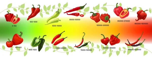 Escala Scoville de ilustración vectorial infográfica de chiles chile ...