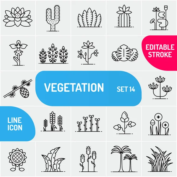 Vegetation signs Images - Search Images on Everypixel