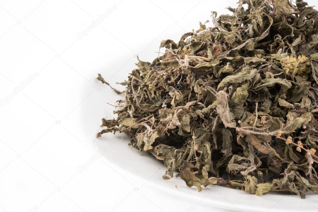 Orgánica seca verde o albahaca sagrada (Ocimum tenuiflorum) hojas sobre ...