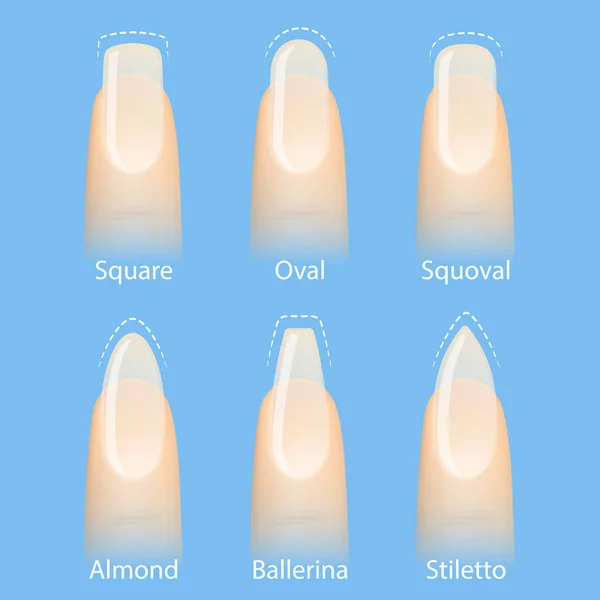 Set of nails shapes Stock Vector Image by ©alffisky.gmail.com #165877270