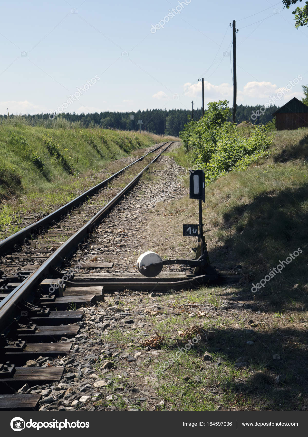Small Gauge Railroad Track