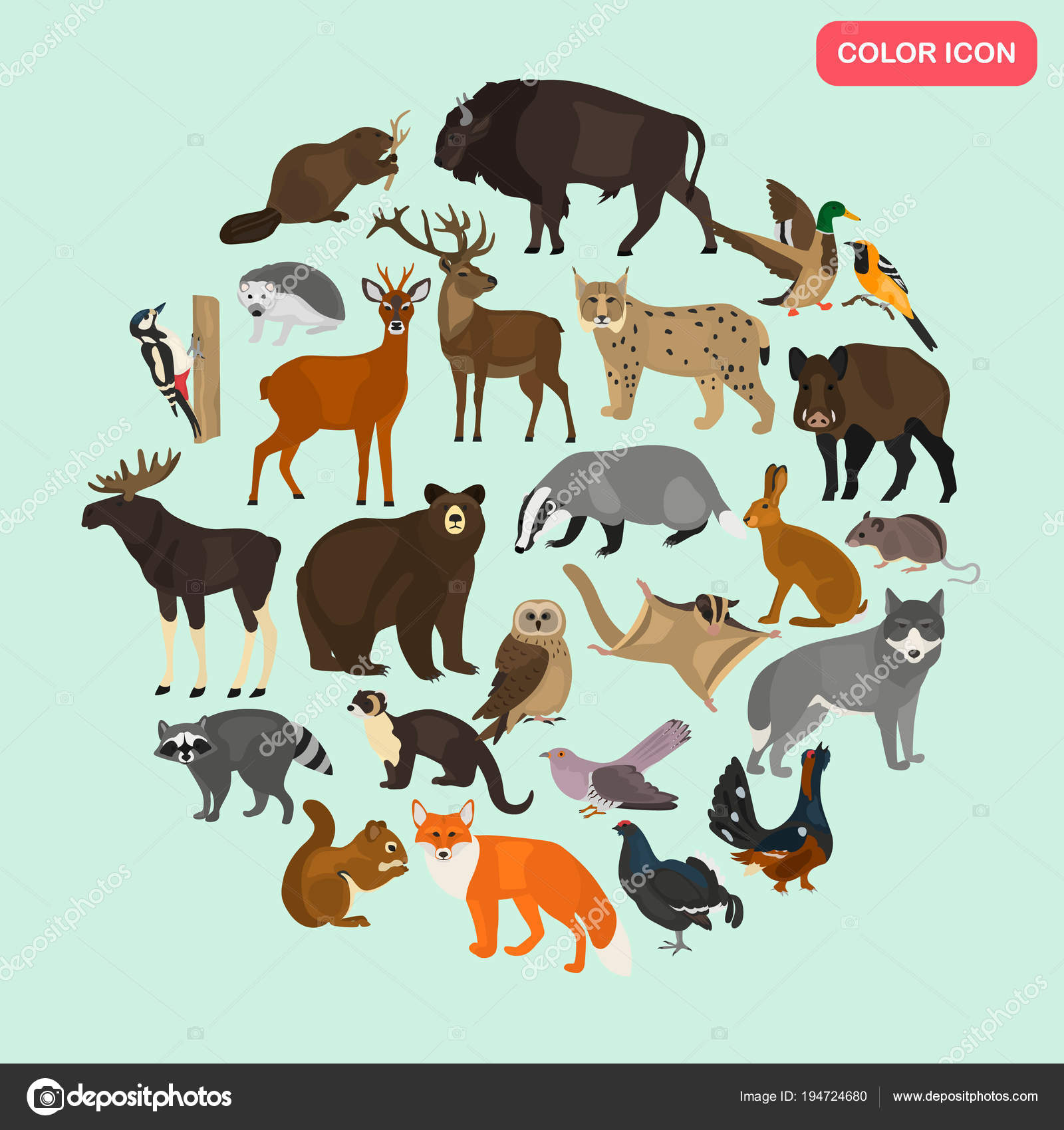 Forest Animals That Are Green Color