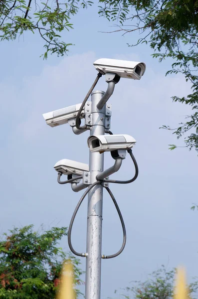 Network vigilance fotos de stock, imágenes de Network vigilance sin ...