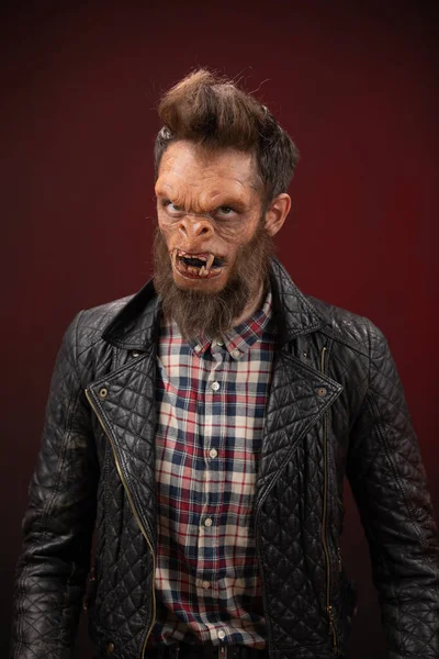 Pimp monkey Stock Photos, Royalty Free Pimp monkey Images | Depositphotos