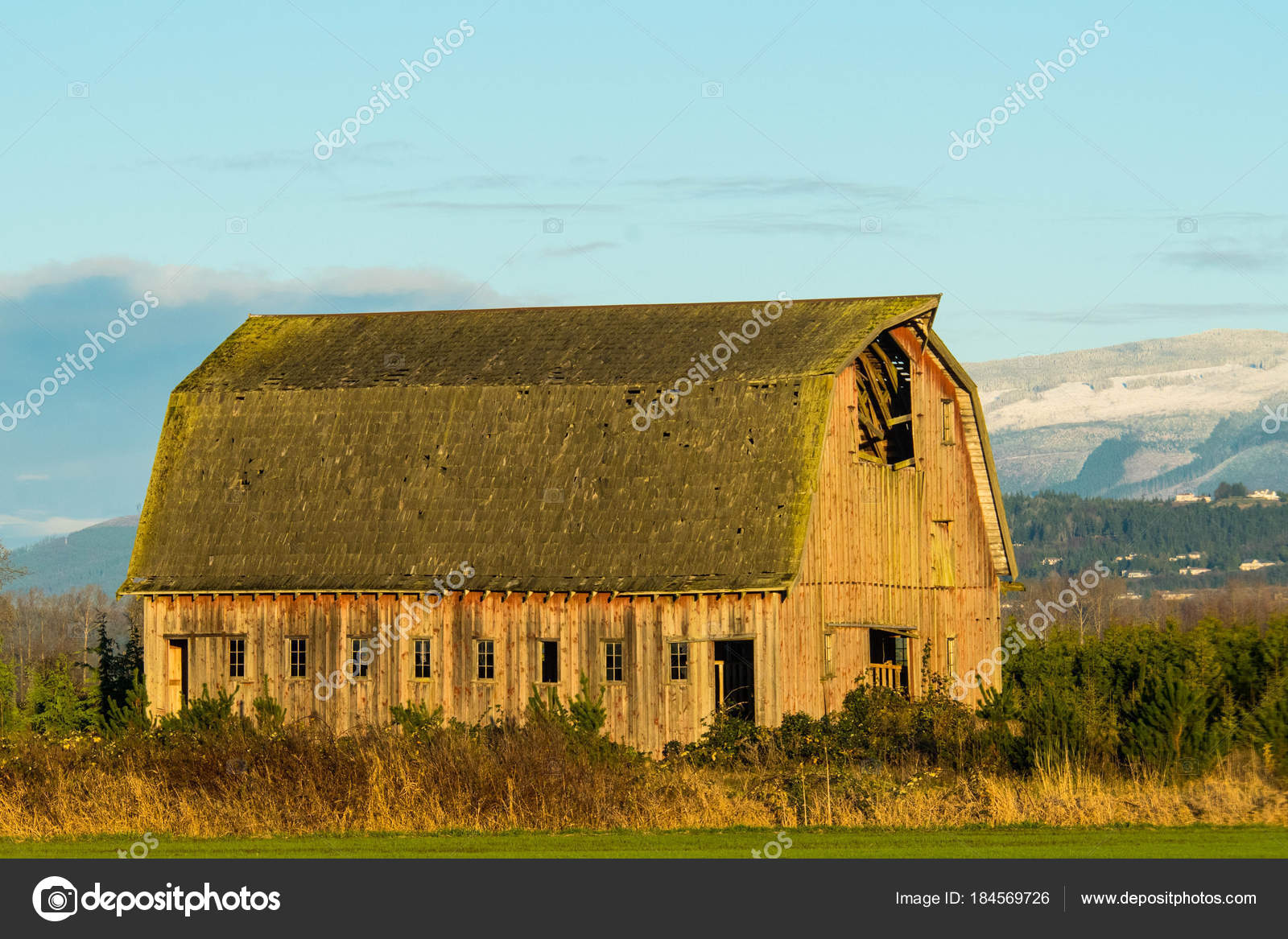 Aging Barn in Skagit Valley — Stock Photo © cestes001 #184569726