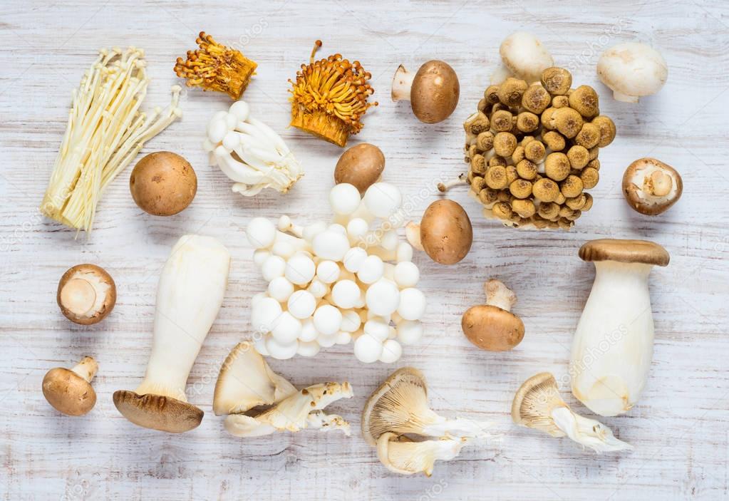 Different Types of Mushrooms in Top View — Stock Photo © daniel ...