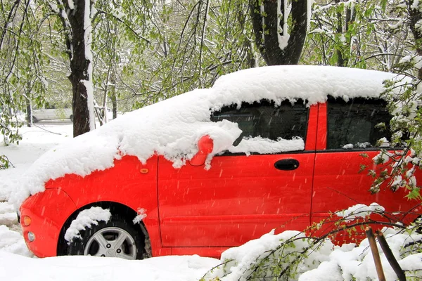 Red truck snow Stock Photos, Royalty Free Red truck snow Images ...