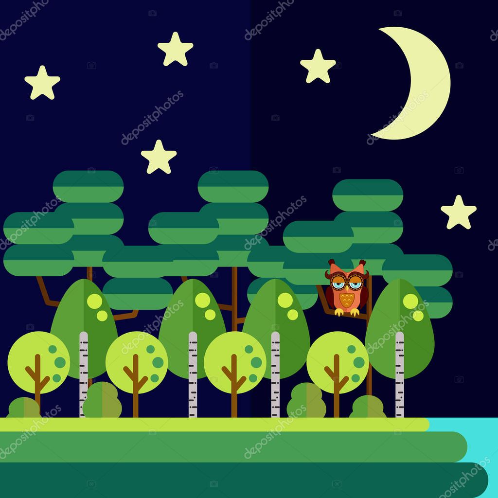 Paisaje De Bosque Nocturno — Vector De Stock © Olizabet 150295722