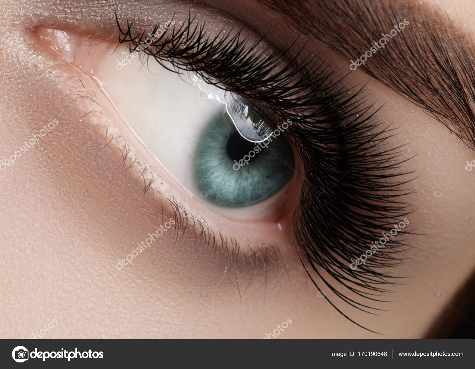Beautiful female eye with extreme long eyelashes, black liner makeup ...