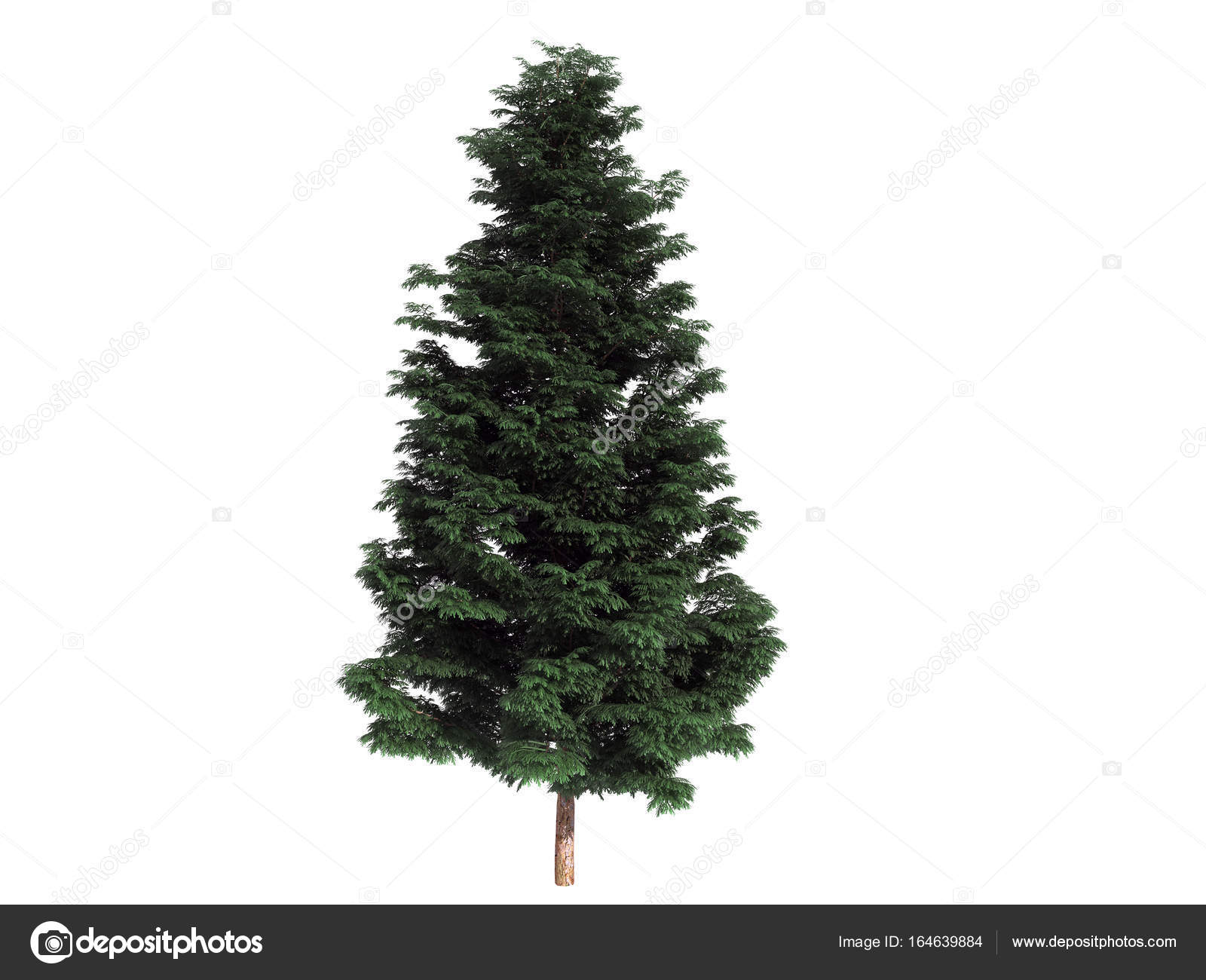 3d rendering of a realistic green tree isolated on white — Stock Photo ...