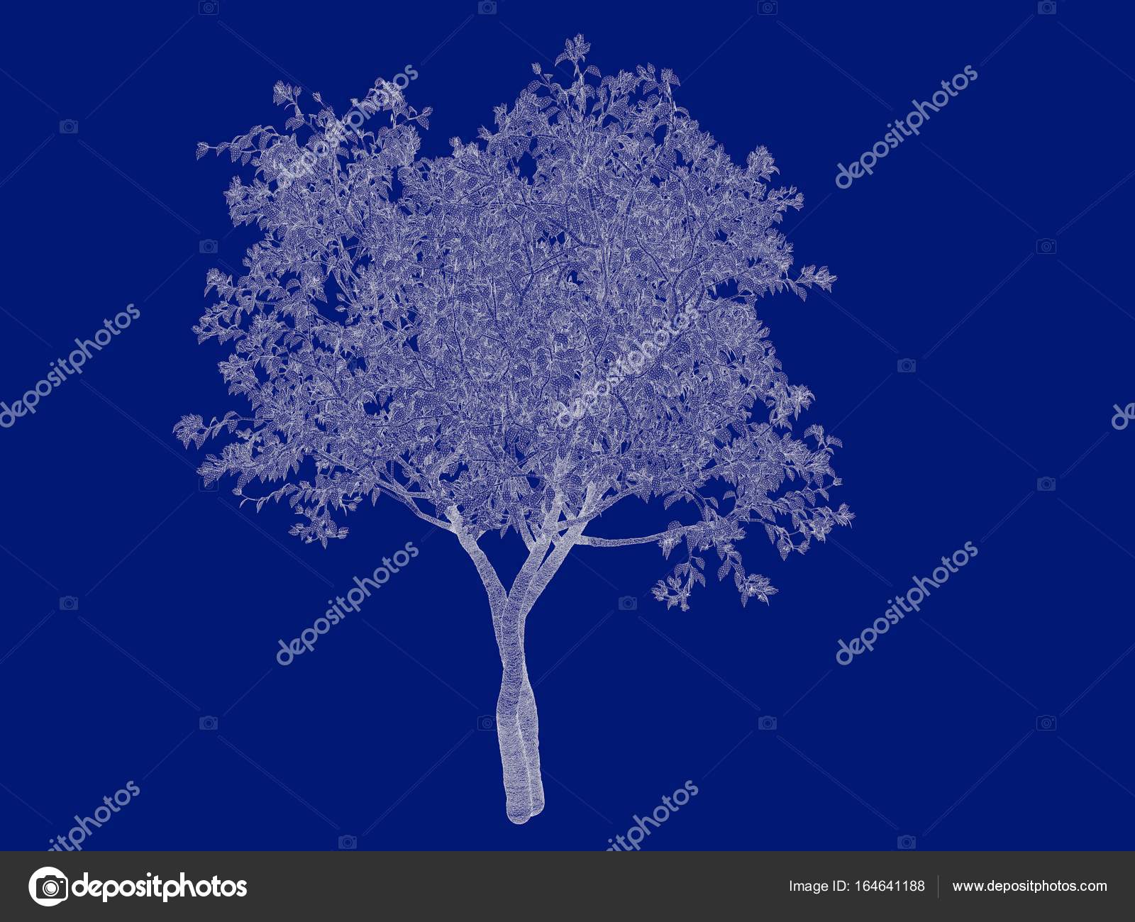 3d rendering of an outlined tree blueprint isolated on blue back ...