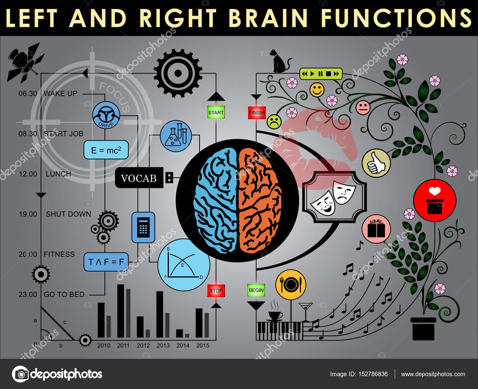 Left and right brain functions Stock Vector Image by ©legendofsinbatt ...