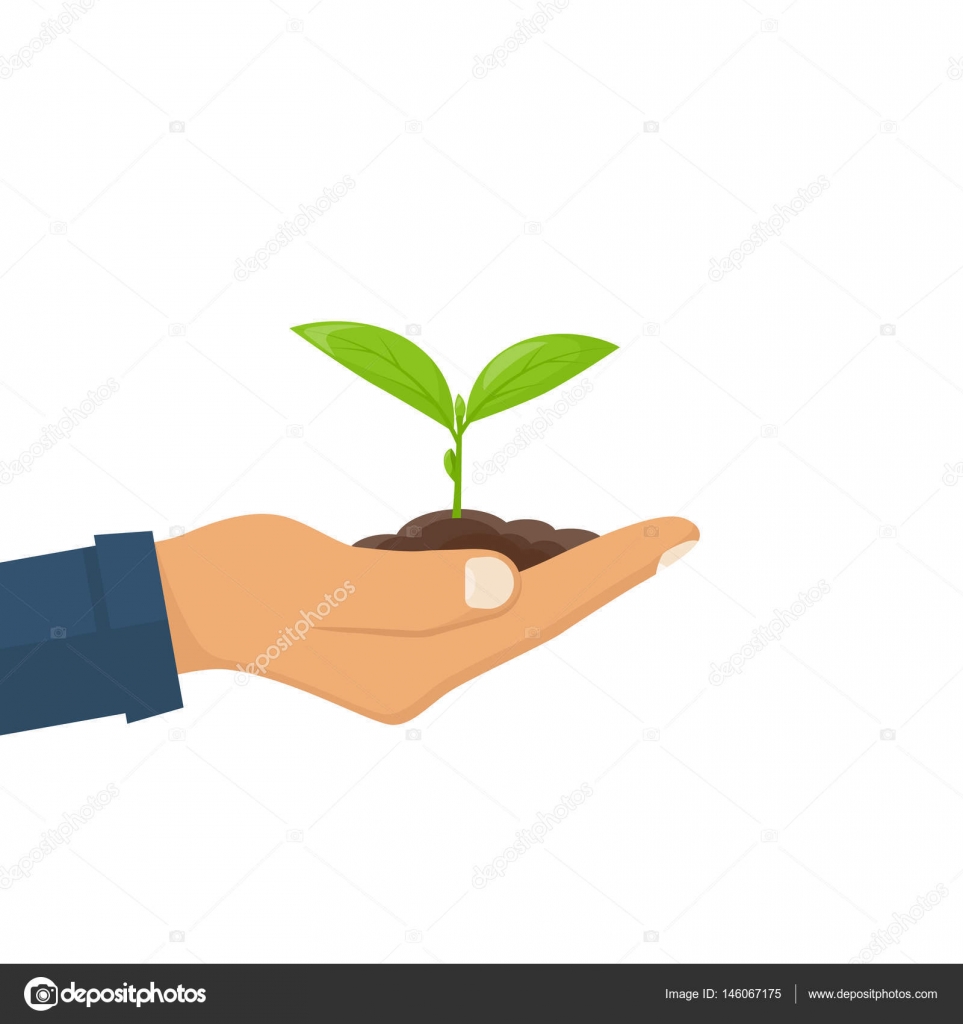Planting sapling. vector Stock Vector by ©threecvet.gmail.com 146067175