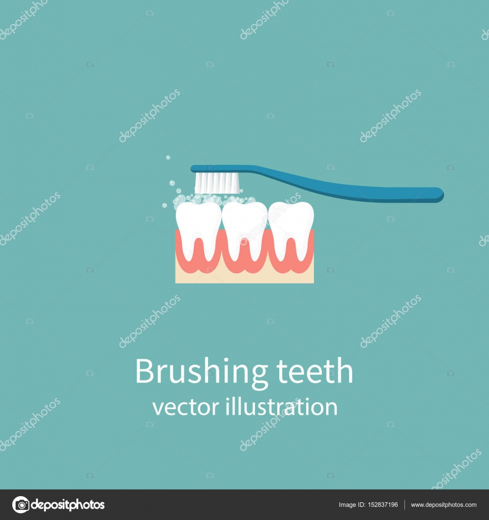 Brushing Teeth. Toothbrush Stock Vector by ©threecvet.gmail.com 152837196